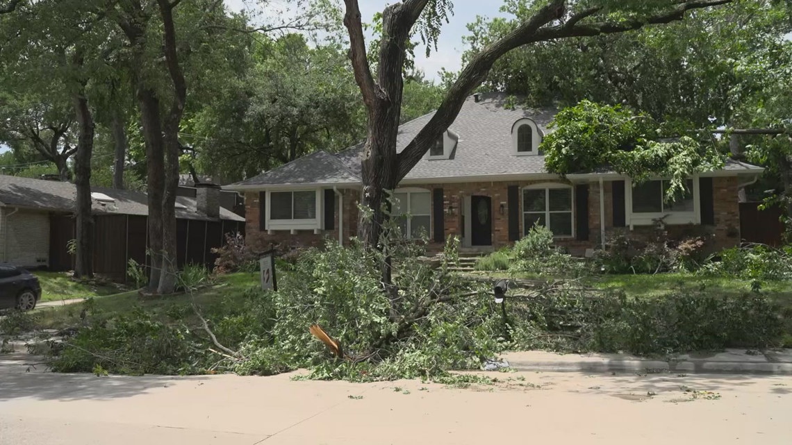 When will your city pick up your storm debris? What we know. | wfaa.com
