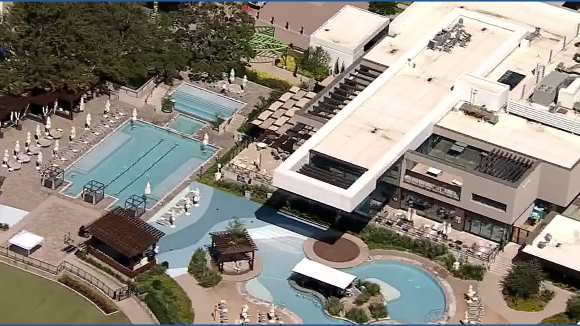 Asian Lady Beetles: Here's what to know about these fake ladybugs ...