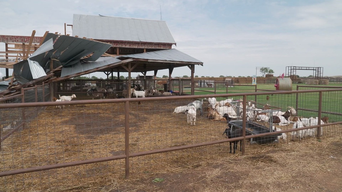 Strong winds destroy barn at Gunter family farm known for its pumpkin ...