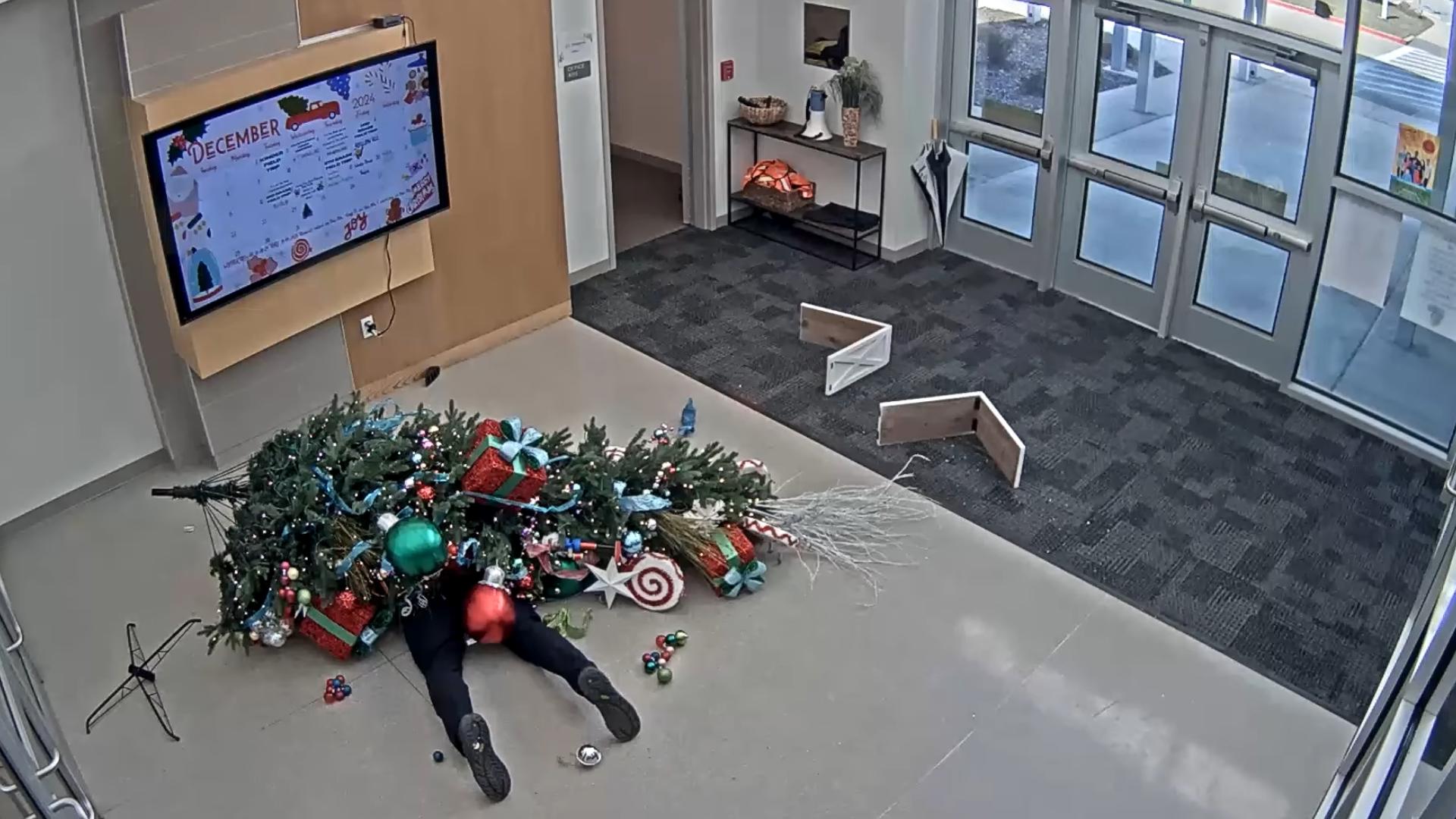 Texas school district officer loses battle with Christmas tree | wfaa.com