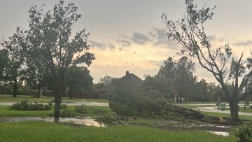 DFW severe storm damage after tornado warnings: Updates | wfaa.com