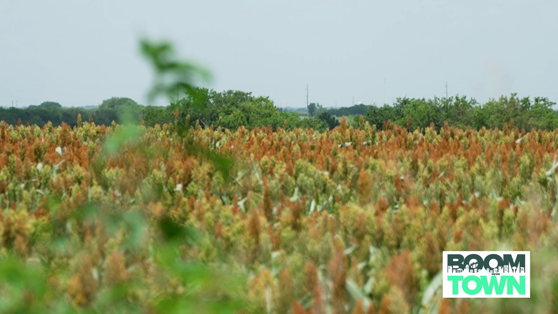 Lawsuit between Rockwall County and Texas homebuilder could have lasting impact | wfaa.com