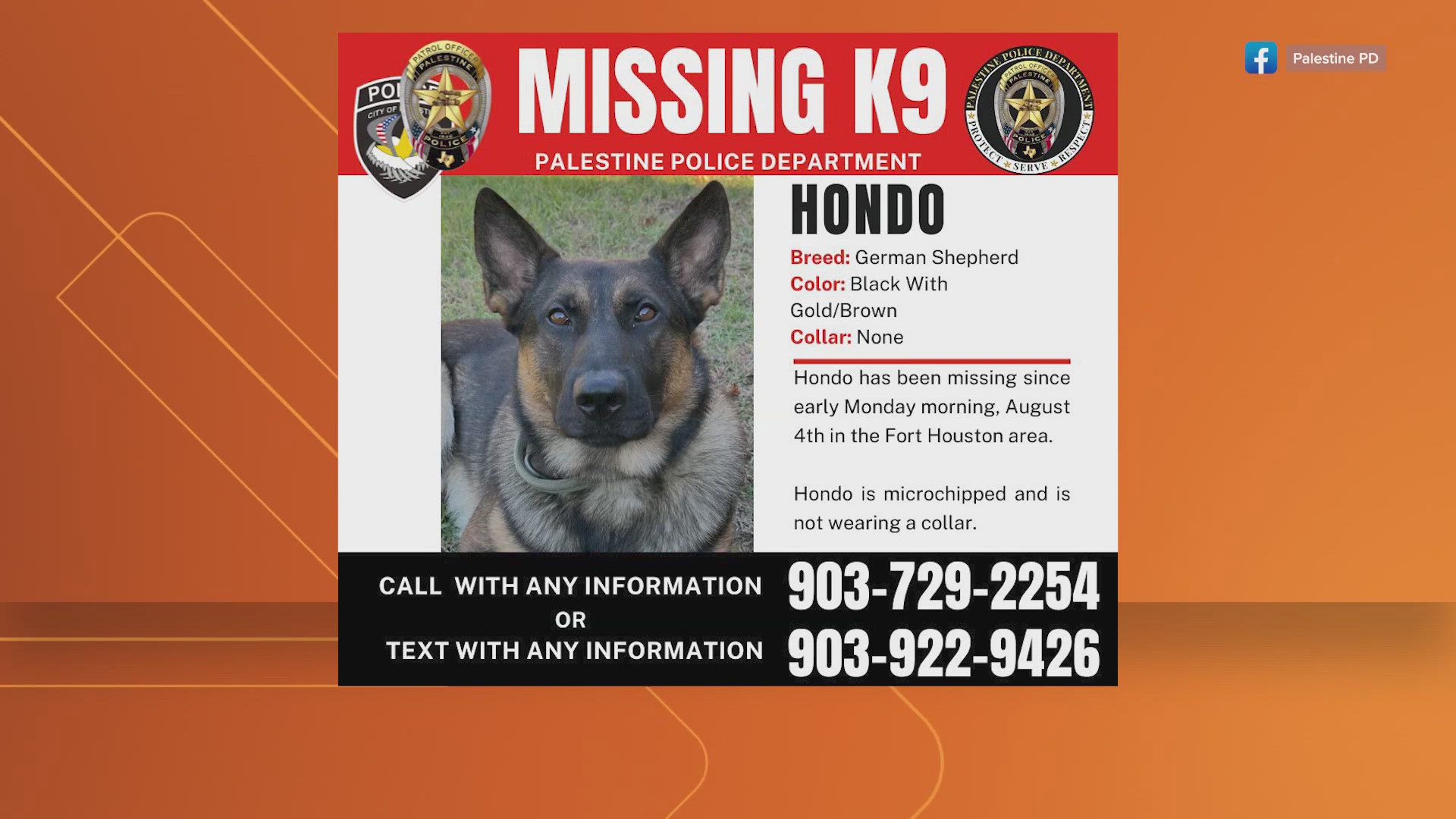 Palestine police ask for help in search for missing K9 | wfaa.com