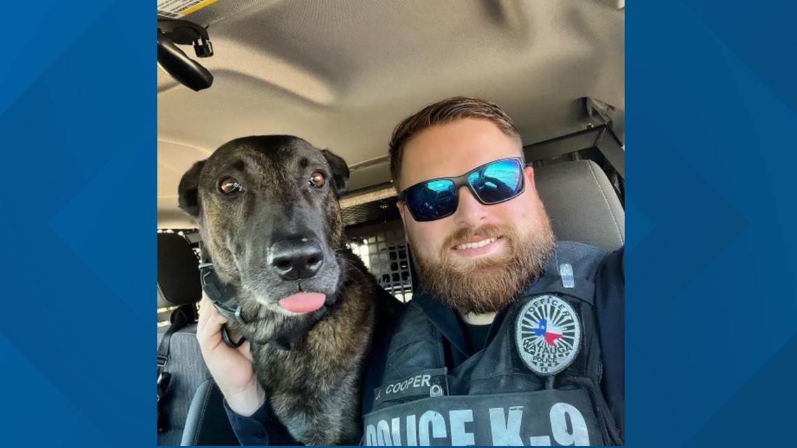 North Texas K9 passes away amid health issues | wfaa.com