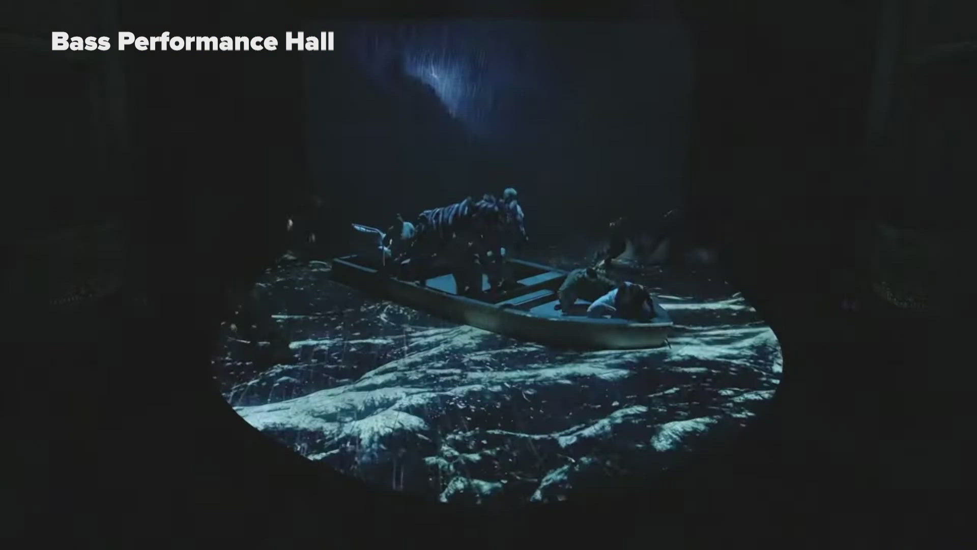 Asian Lady Beetles: Here's what to know about these fake ladybugs ...