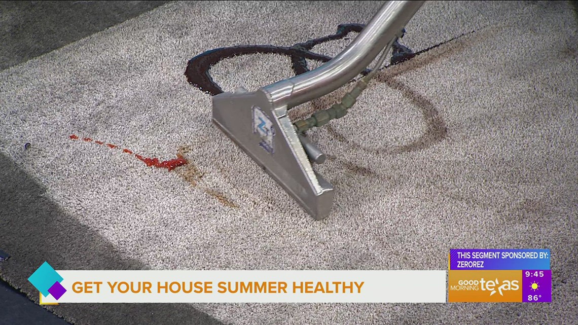 The Importance of Summer Carpet Cleaning | wfaa.com