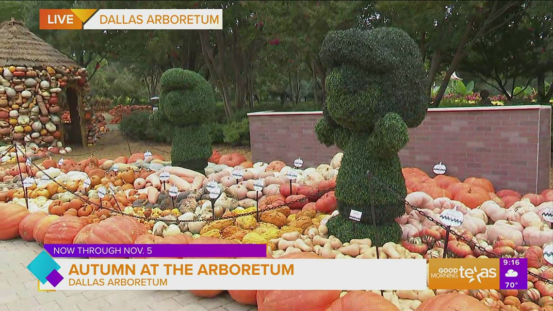 Sponsored: Autumn at the Arboretum | wfaa.com