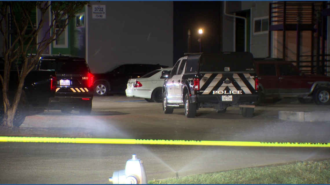 Fort Worth, Texas: Woman killed in domestic incident | wfaa.com