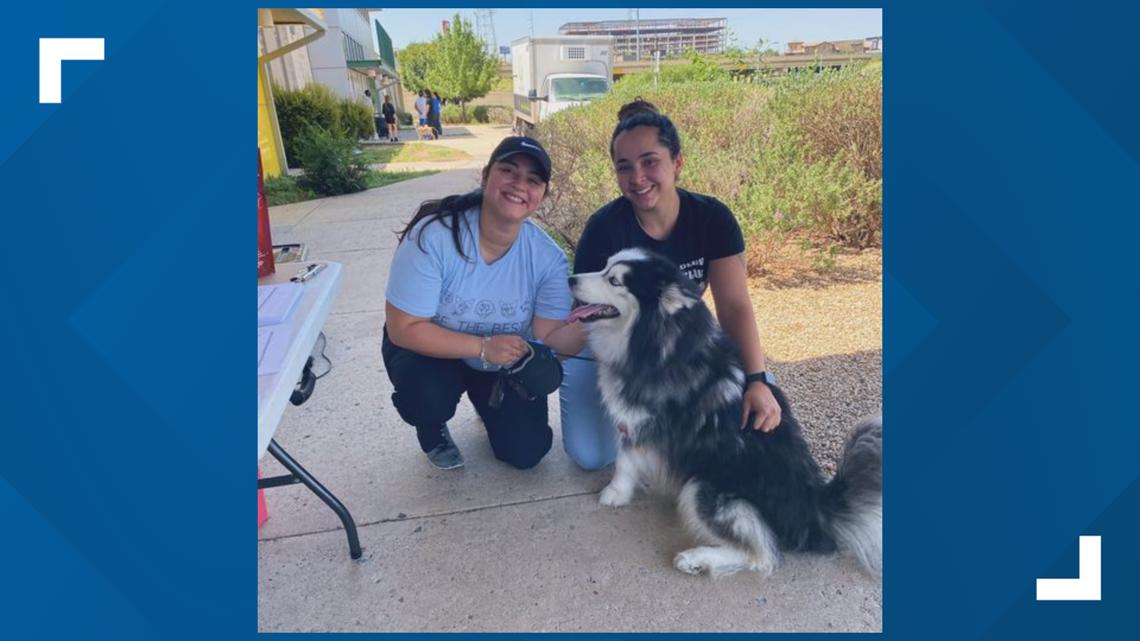 Dallas Animal Services offering microchips, collars and tags | wfaa.com