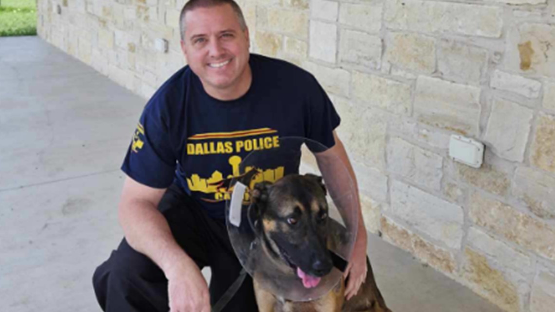 Dallas police shooting: K-9 helped save partner, chief says | wfaa.com
