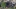 Two arrested outside Collin County Courthouse while awaiting Karmelo ...