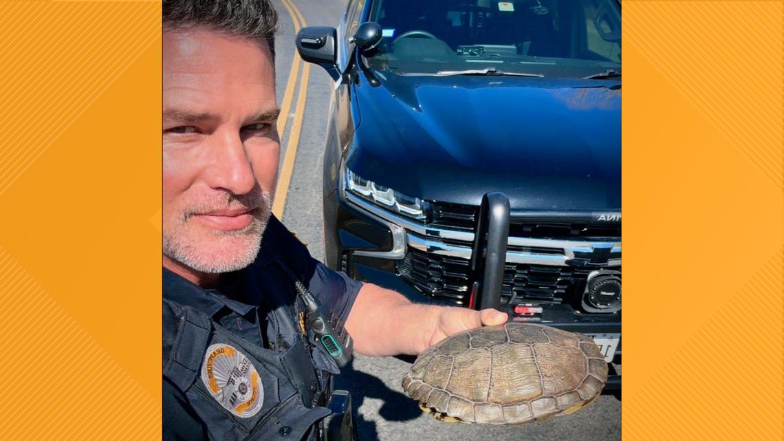 News 8's Shelly Slater transitioning from anchor role | wfaa.com