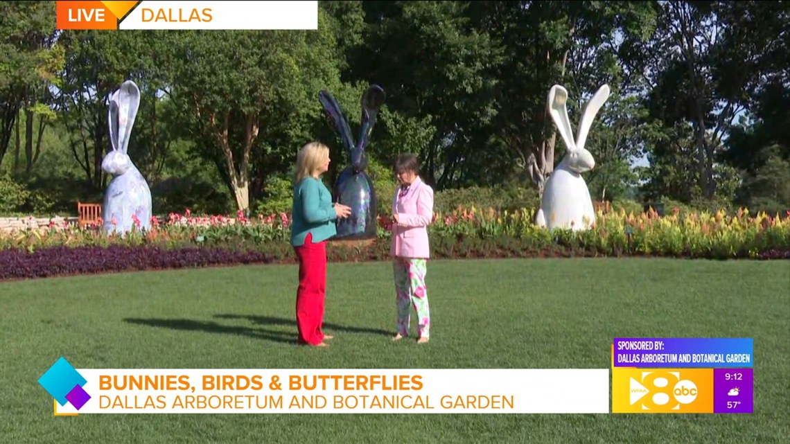 Sponsored: Bunnies, Birds, & Butterflies at the Dallas Arboretum and ...