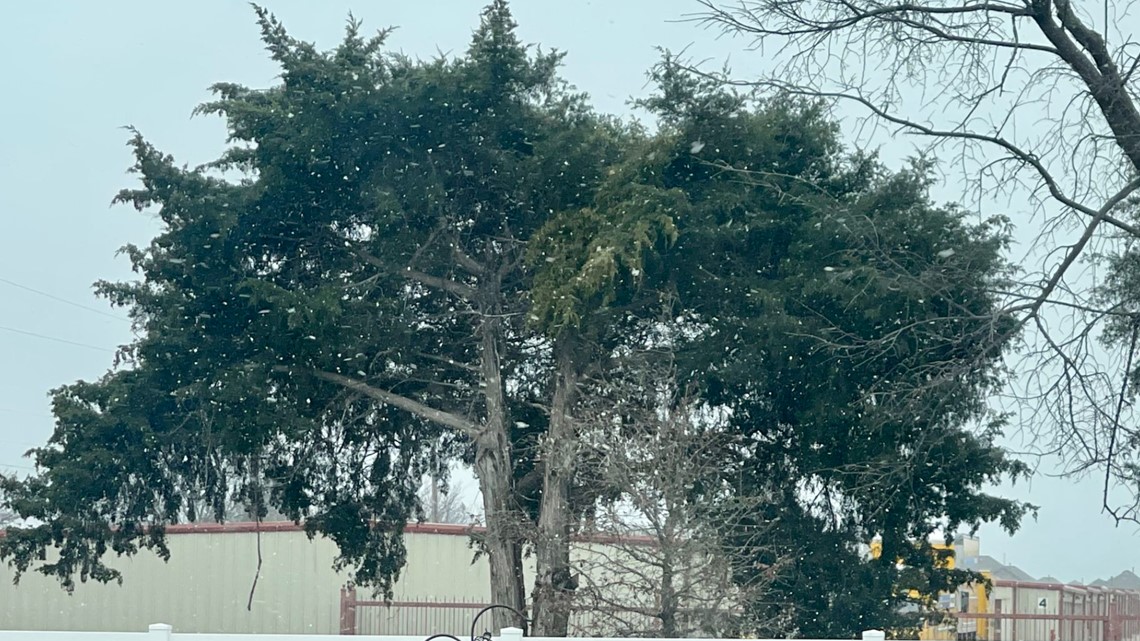 Snowing in Dallas: Pictures and video of Dallas-Fort Worth snow | wfaa.com