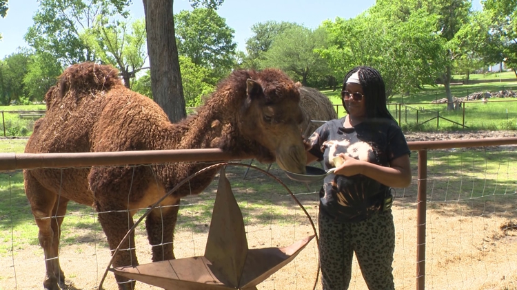 Wednesday's Child: 15-year-old Jasmine looking for forever family ...