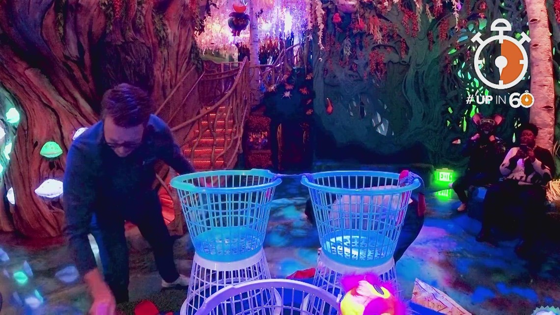 Fun chores? Meow Wolf Grapevine welcomes guests to take part in spring ...