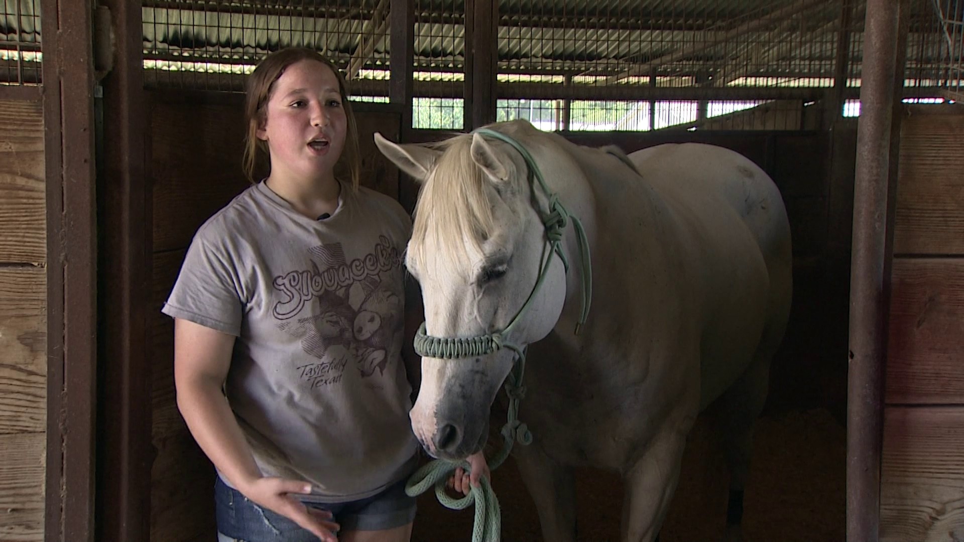 Tiffany Liou | wfaa.com