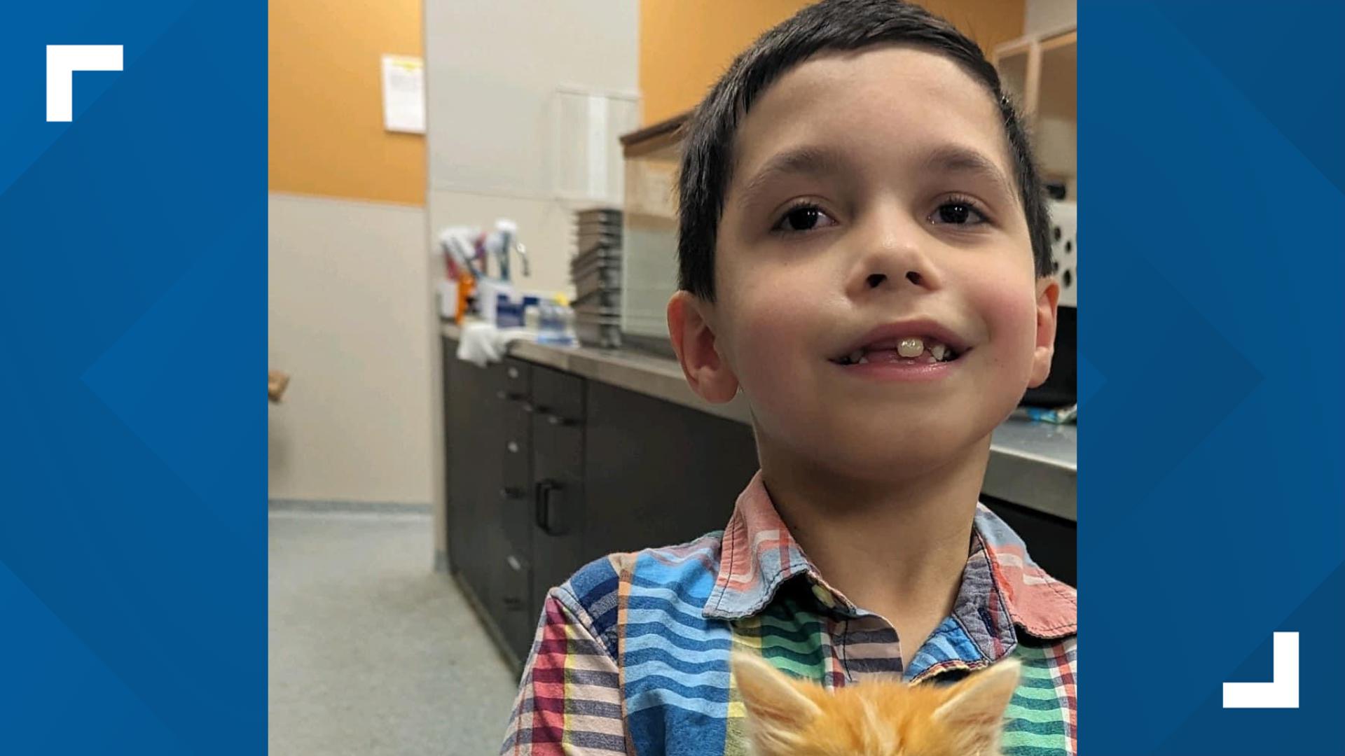 Lemonade stand supports animals at Garland, Texas shelter | wfaa.com