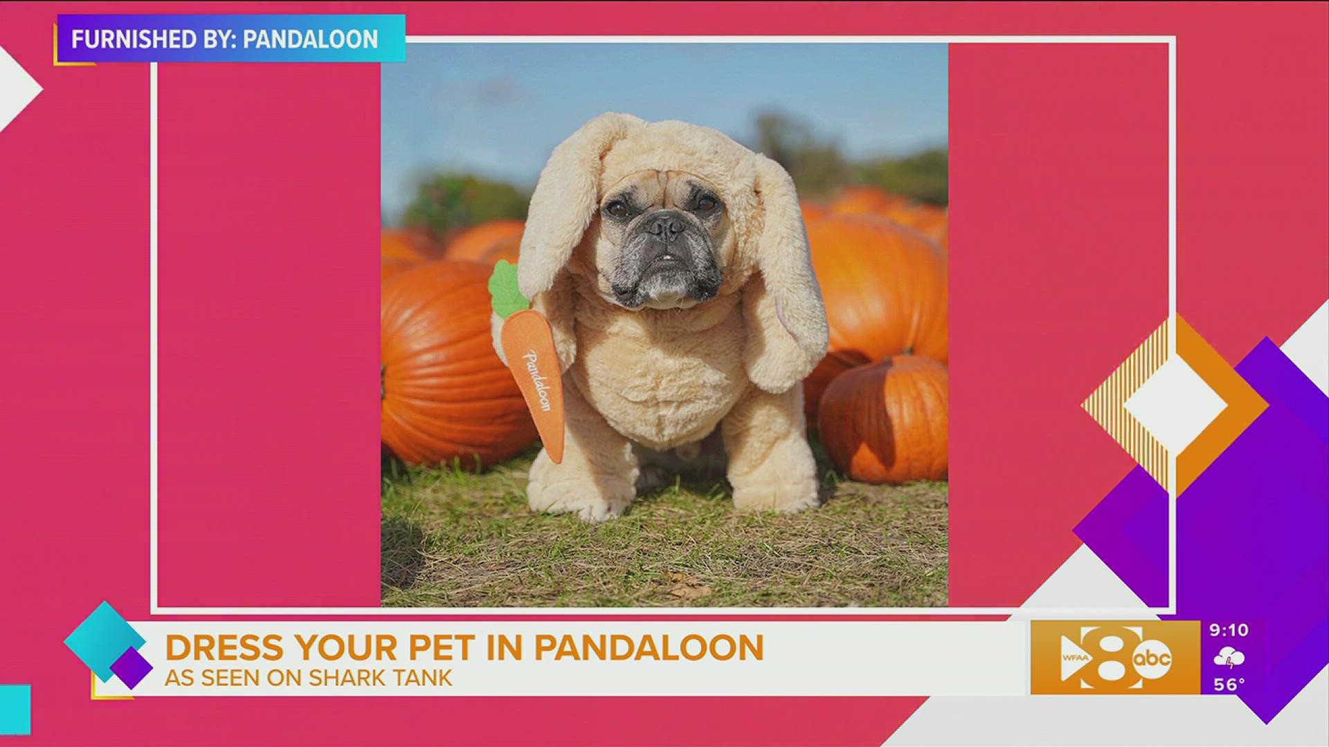 Dress your pet in Pandaloon | wfaa.com