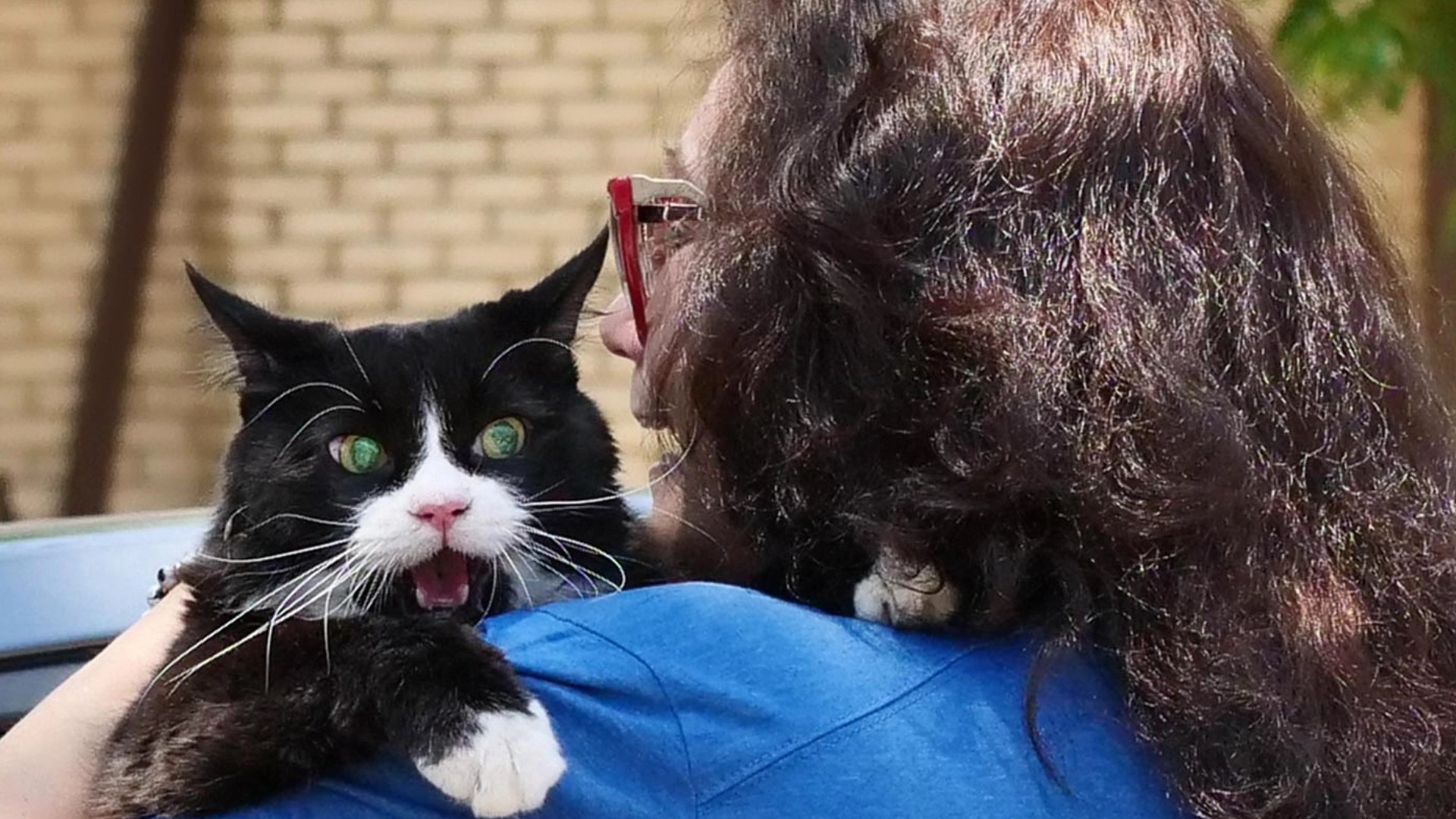 Fort Worth FD: Firefighters help save cat from house fire | wfaa.com