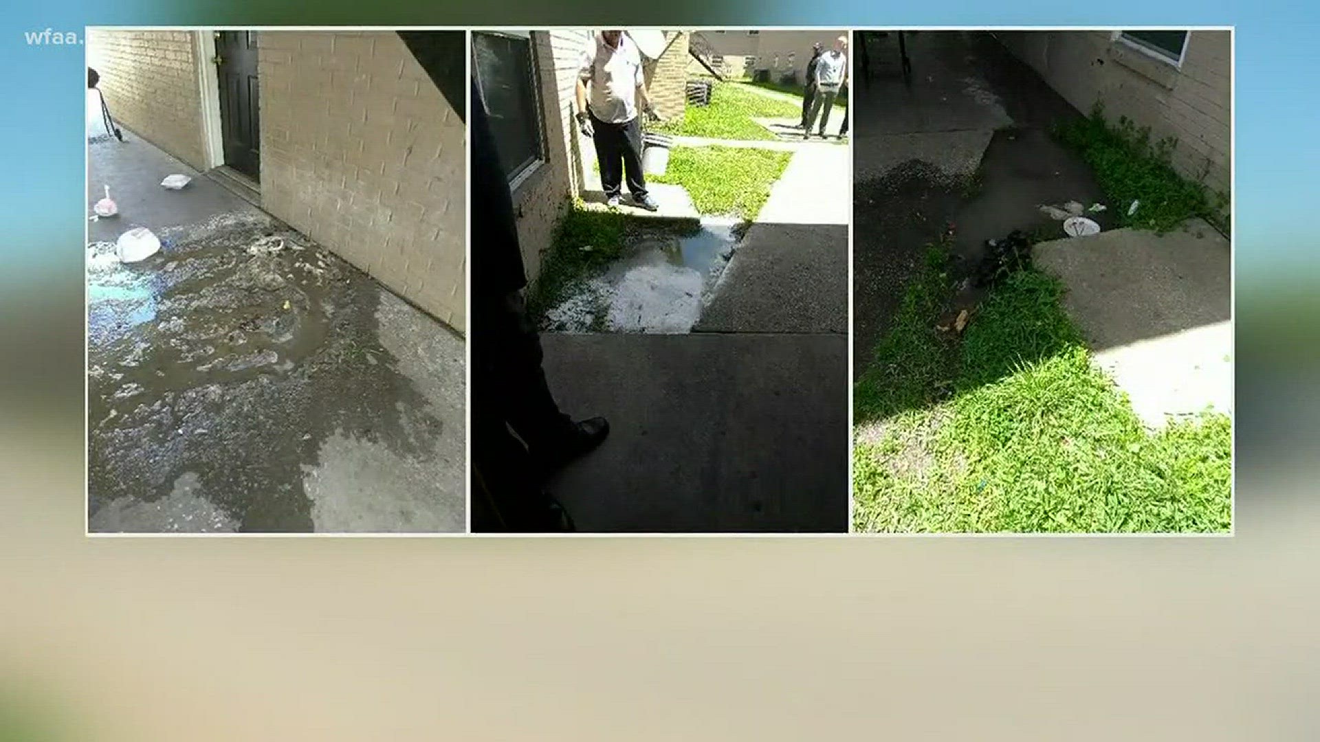 Residents complain of 'deplorable' conditions at Dallas apartment ...