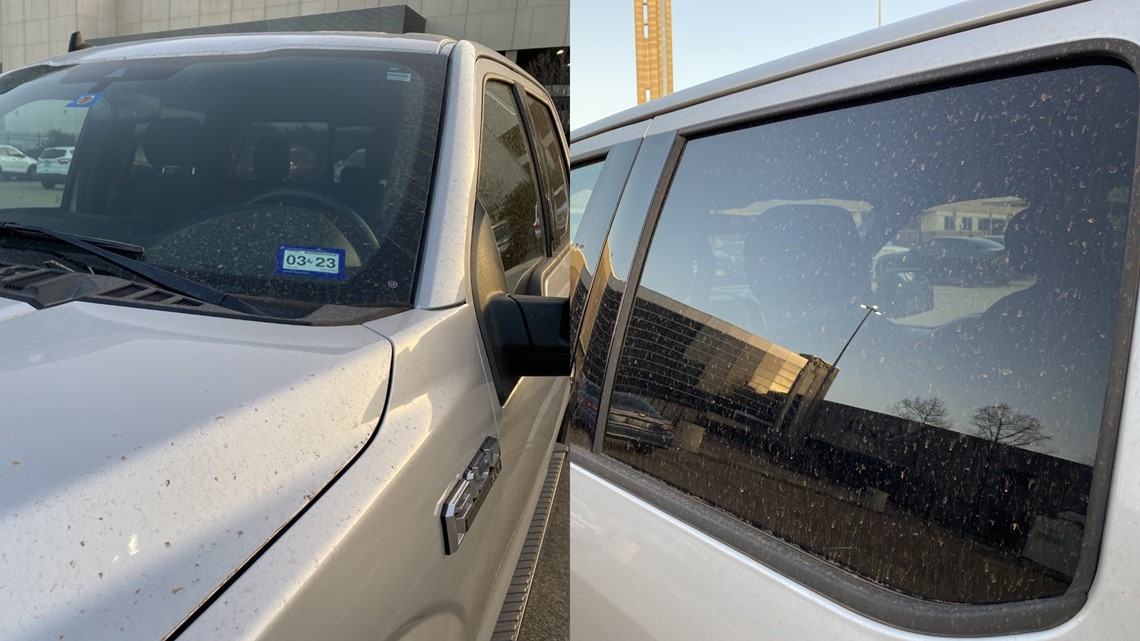West Texas dust storm: Dirty cars, hazy skies in DFW | wfaa.com