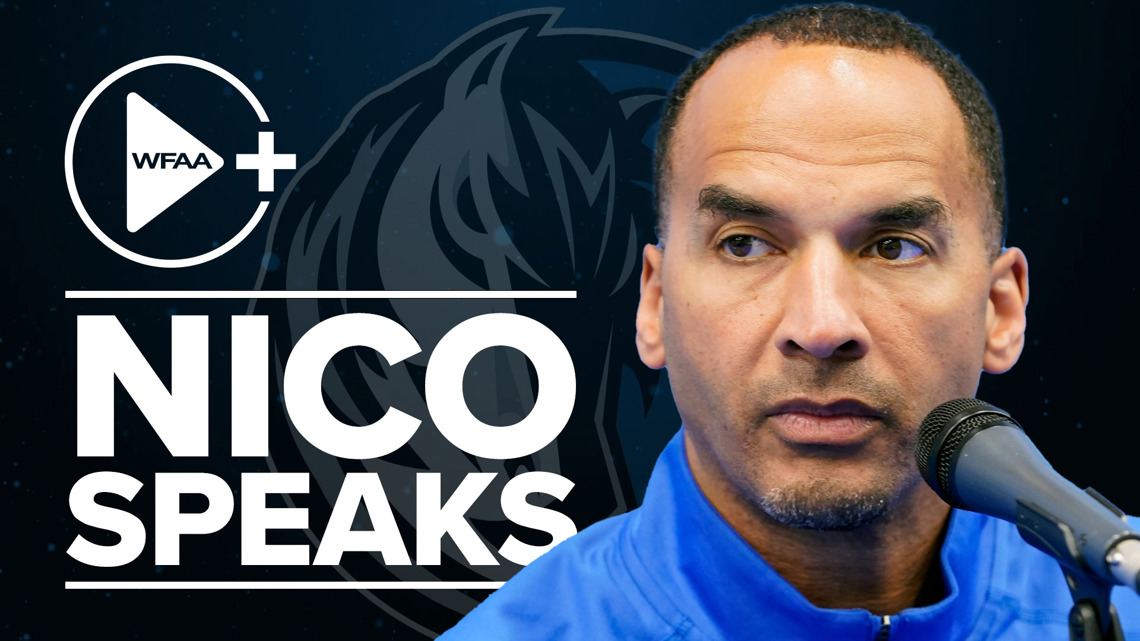 Asian Lady Beetles: Here's what to know about these fake ladybugs ...