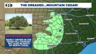 Mountain Cedar causing allergies around North Texas this season | wfaa.com