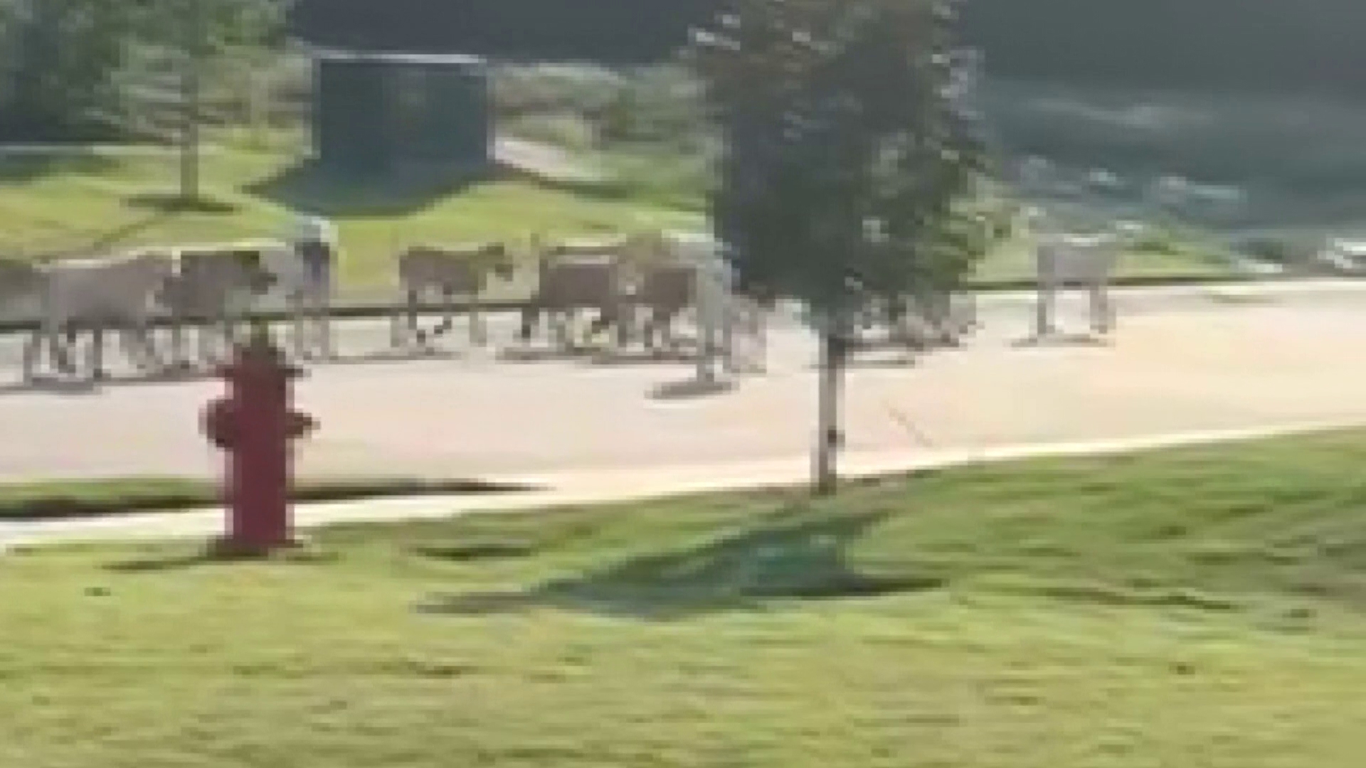 NTTA tolls rates increasing by 1 cent per mile | wfaa.com