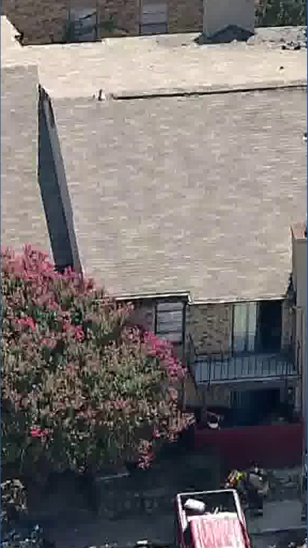 DFR: Firefighters battle large Dallas, Texas apartment fire | wfaa.com