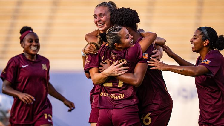 Asian Lady Beetles: Here's what to know about these fake ladybugs ...