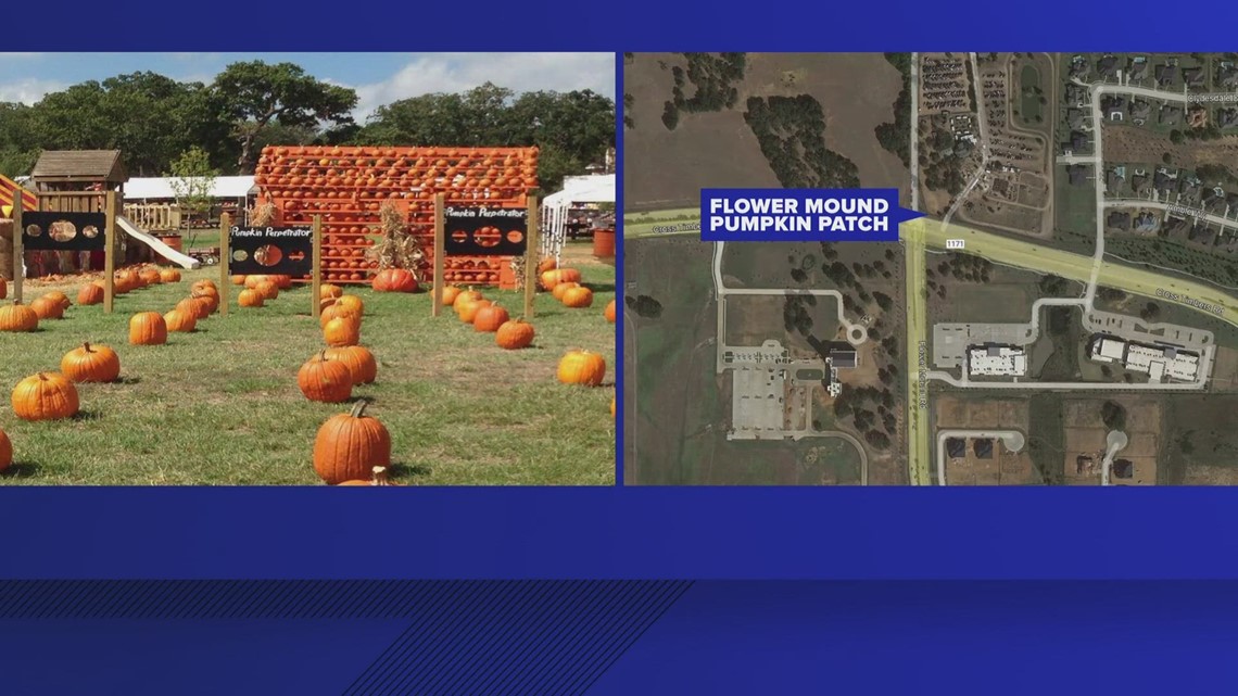 Flower Mound Pumpkin Patch won’t reopen this fall | wfaa.com