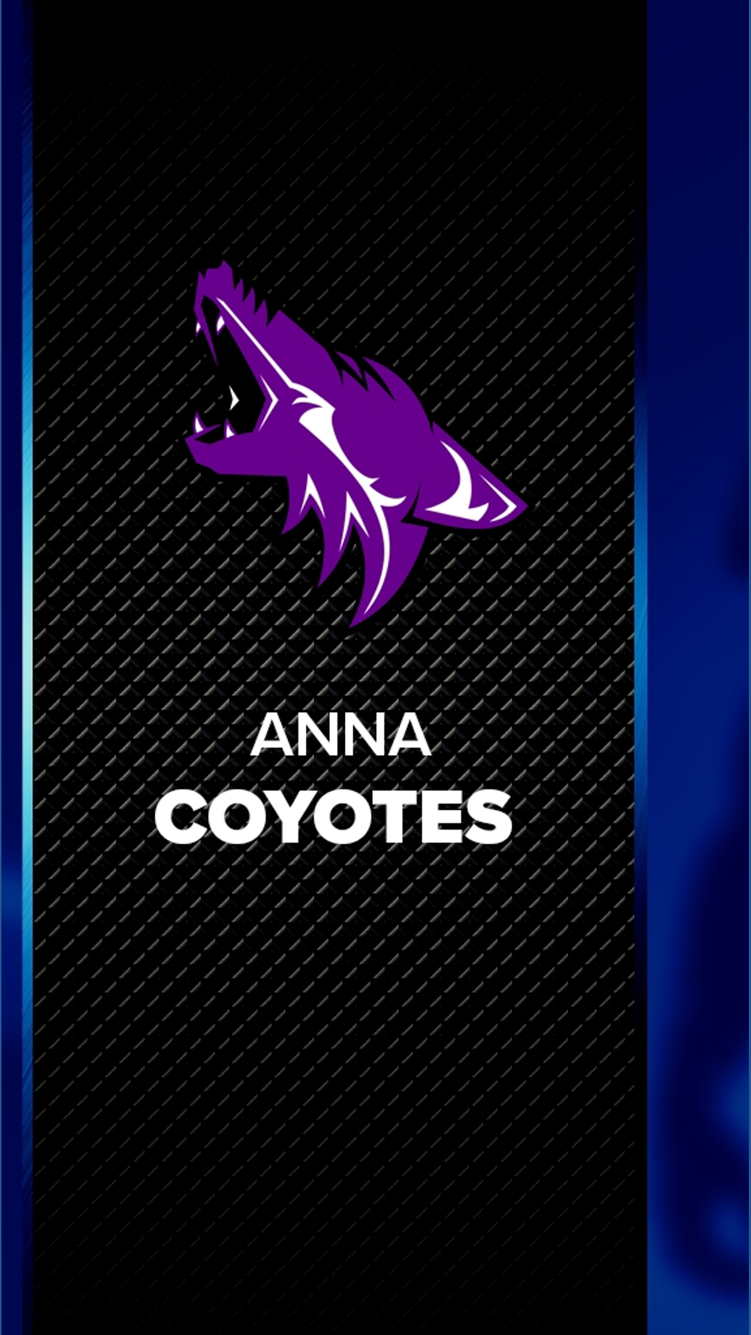 Anna vs. Mansfield Timberview first round playoff matchup to air on ...