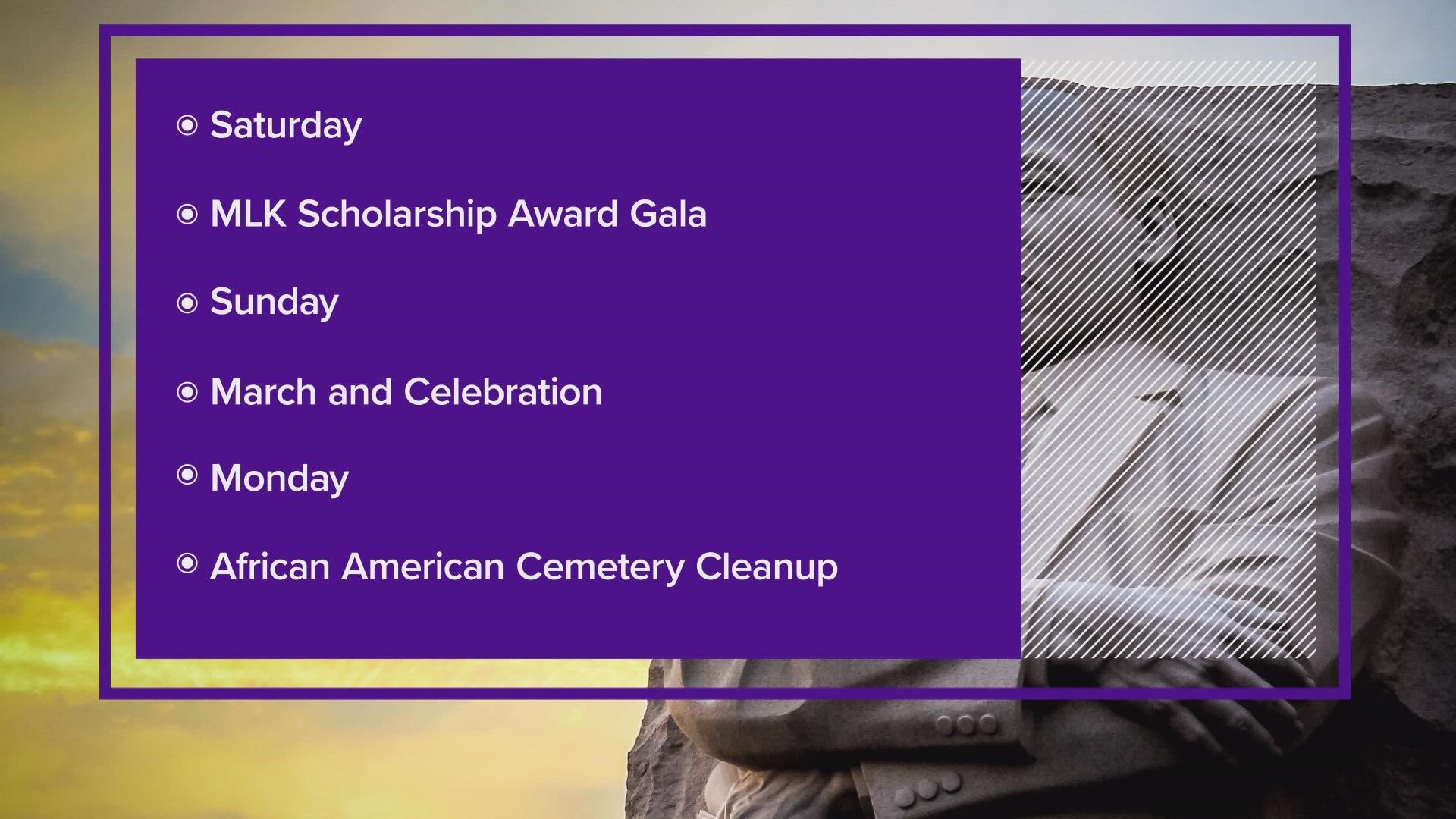 Victims of Dallas Zoo gorilla attack receive settlement | wfaa.com