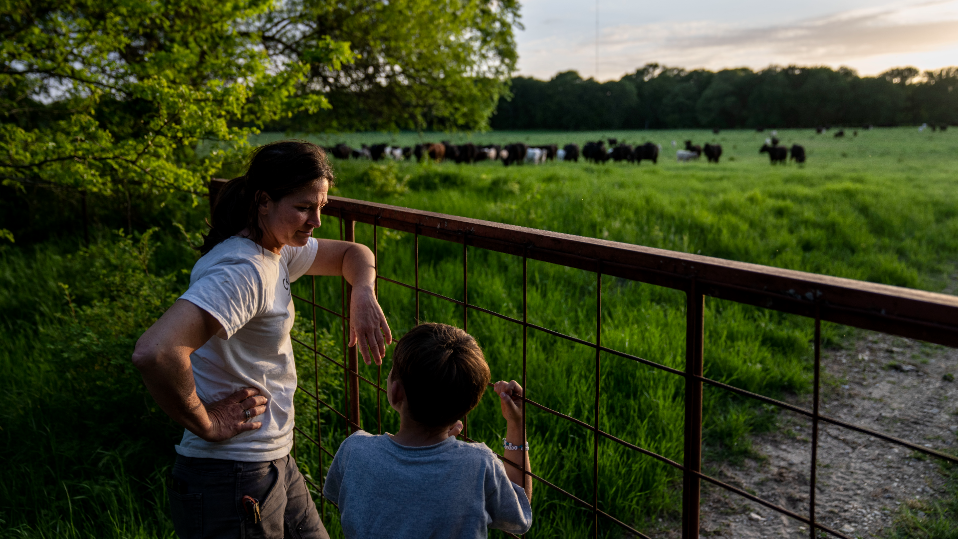 Can cattle ranching change enough to no longer harm the planet? | wfaa.com