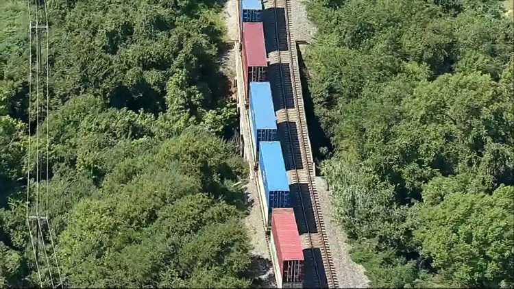 Man found dead under train bridge in Arlington, officials say | wfaa.com