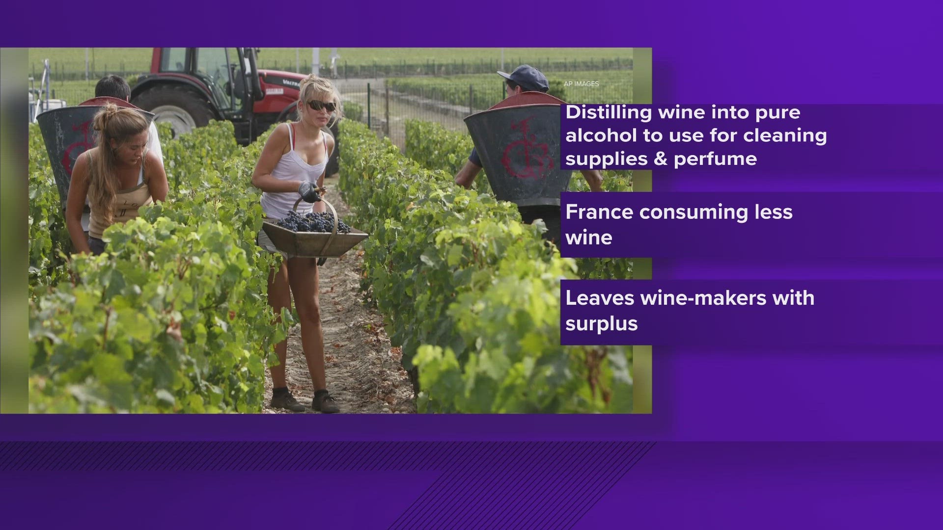 France destroys wine due to excess supply | wfaa.com