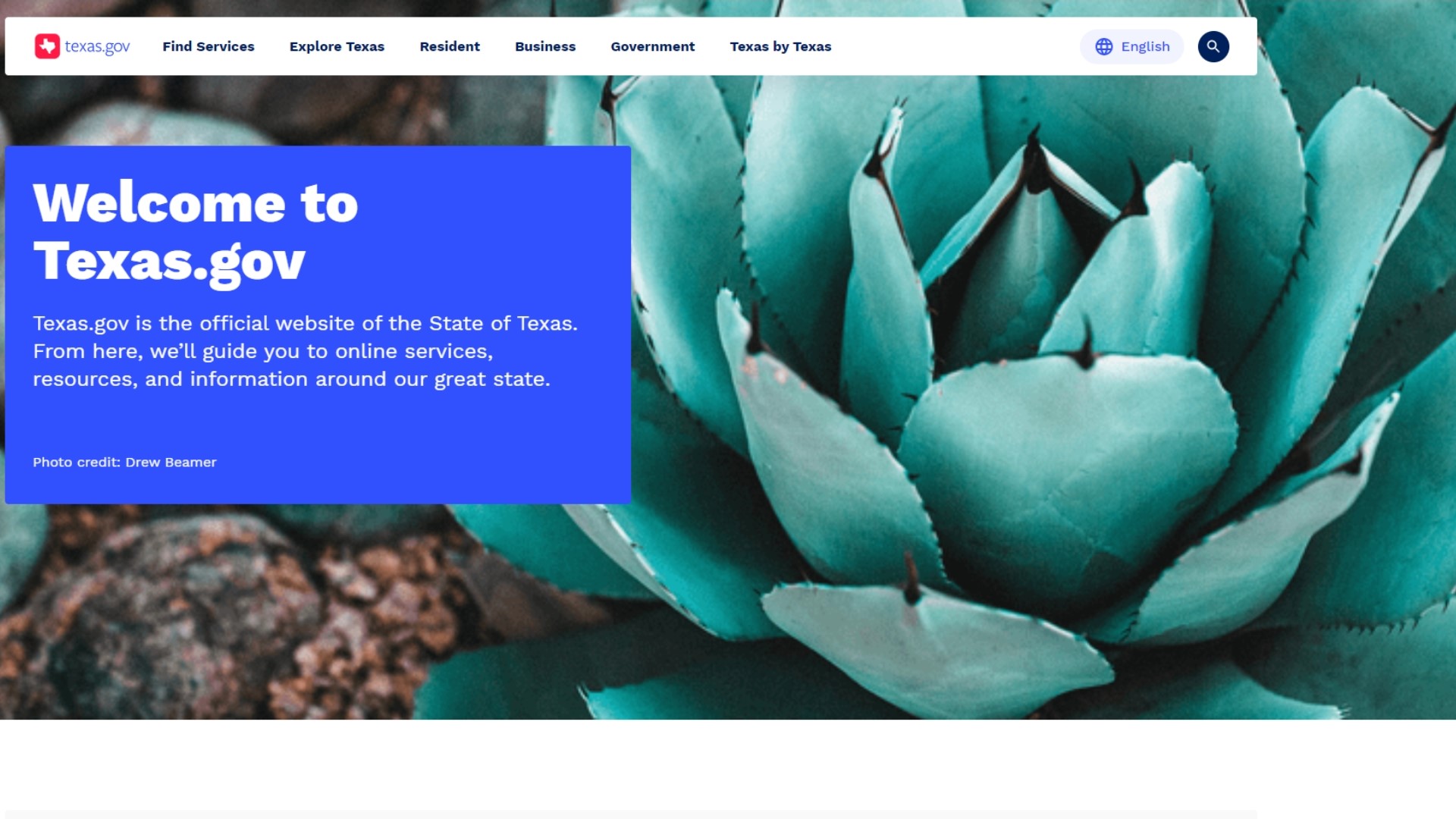 Texas identities stolen through fraudulent driver's licenses | wfaa.com
