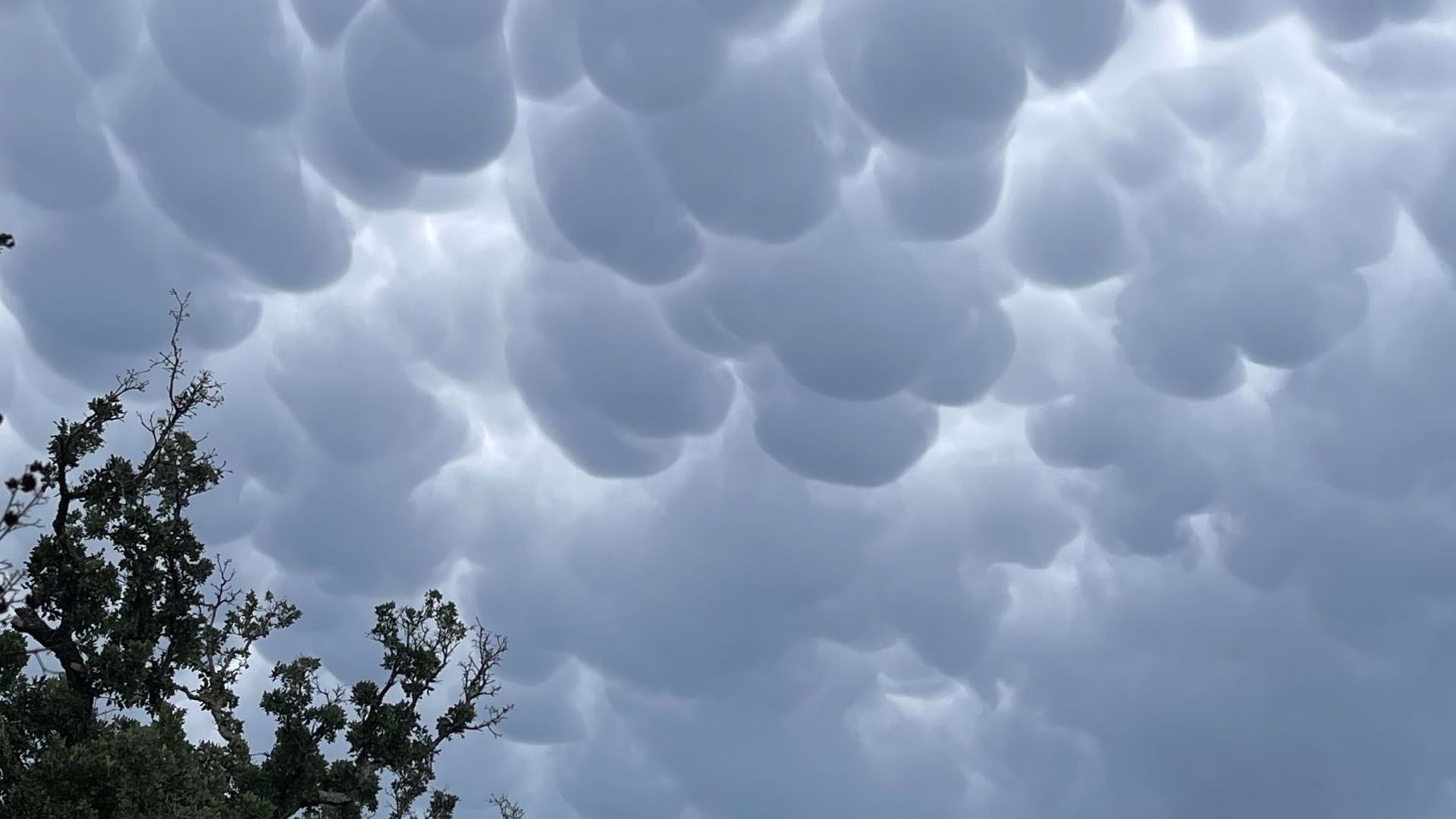 What are those strange looking clouds above DFW? | wfaa.com