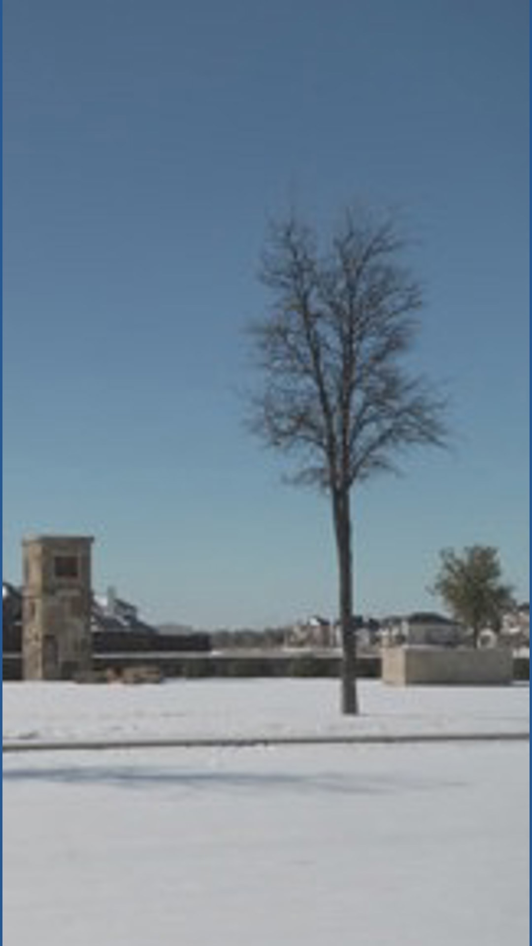 Frisco teen dies after she was injured in a crash that killed another ...