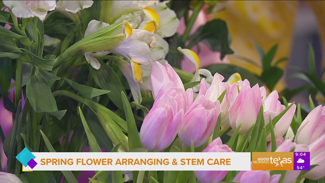 Spring flower arranging and stem care | wfaa.com