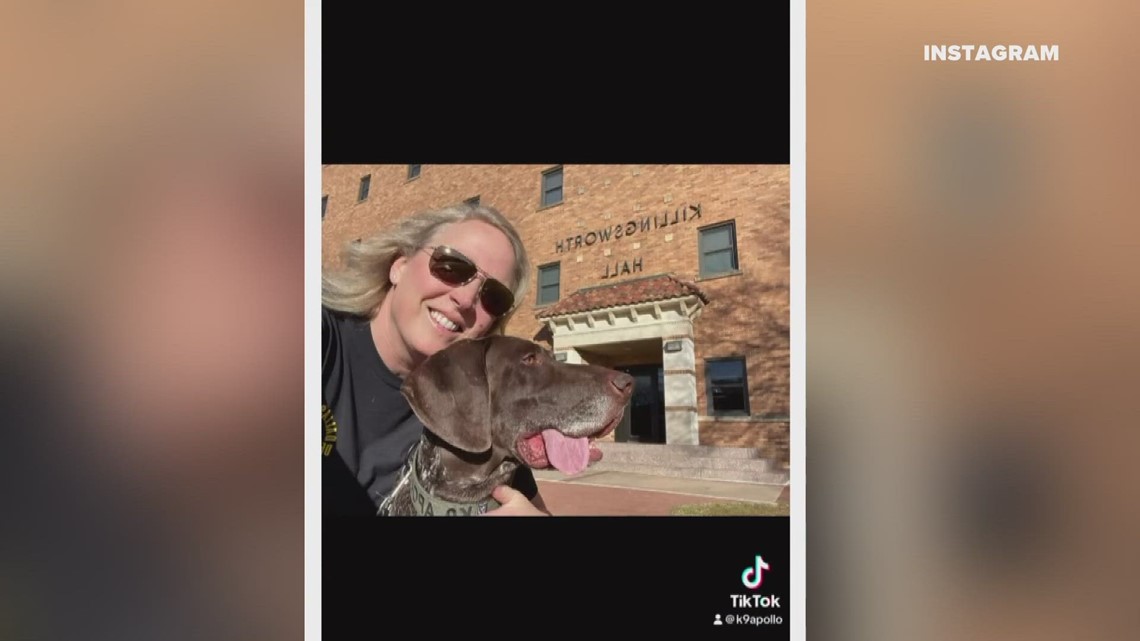 Meet the Dallas police K9 helping with Super Bowl security in Las Vegas ...