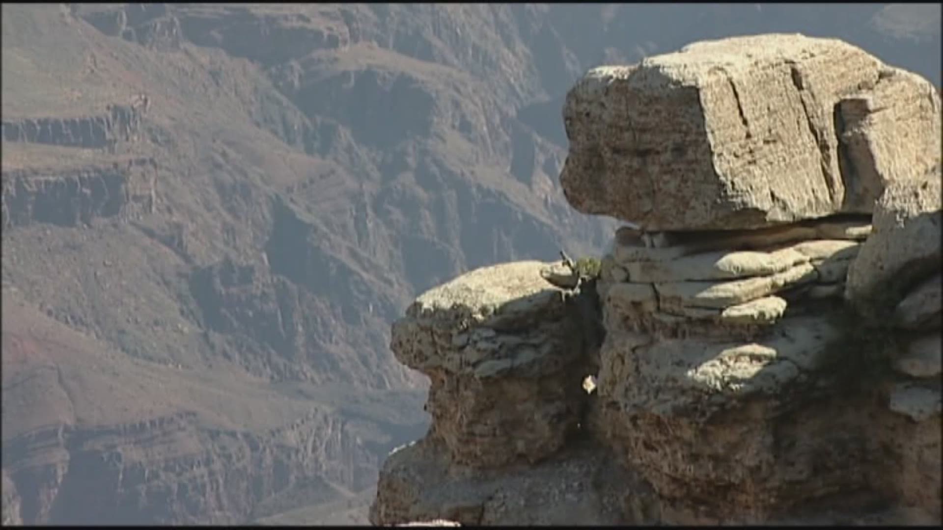 Fort Worth physician, mom mourned after body discovered in Grand Canyon ...