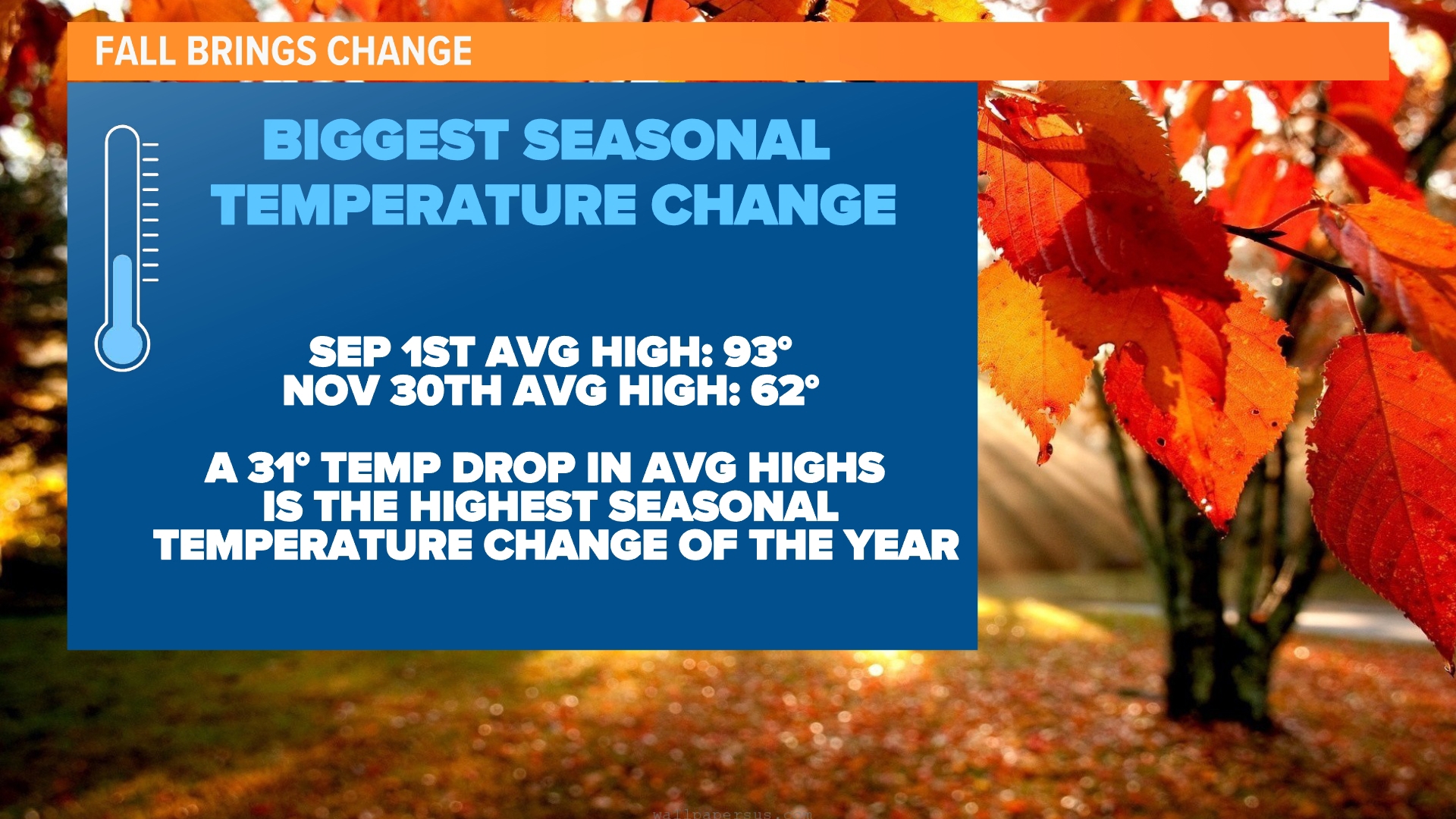 What is the autumn equinox? When does fall begin? | wfaa.com