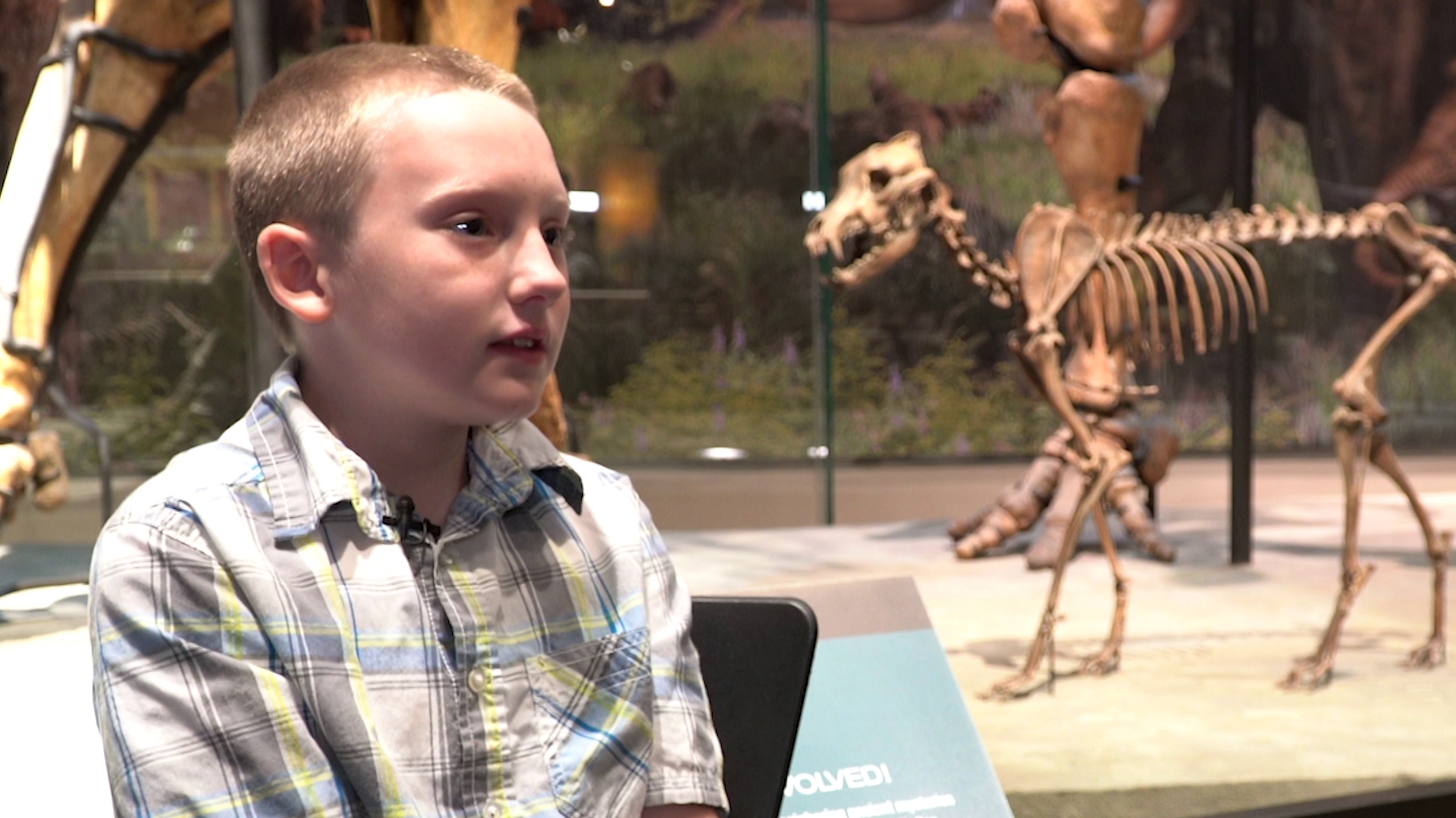 Wednesday's Child | Adopt or Foster a Child | wfaa.com