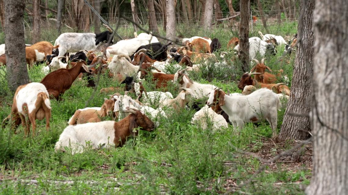 Delta 191 Crash: 39 years after tragic day, experts reflect | wfaa.com