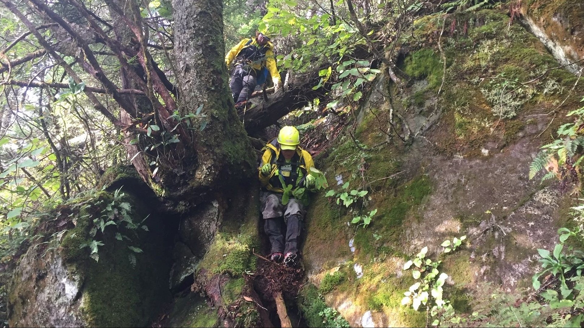 Body of Missing Ohio Hiker Susan Clements Found in Great Smoky ...