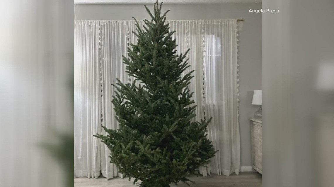 Woman hospitalized after exposure to live Christmas tree | wfaa.com