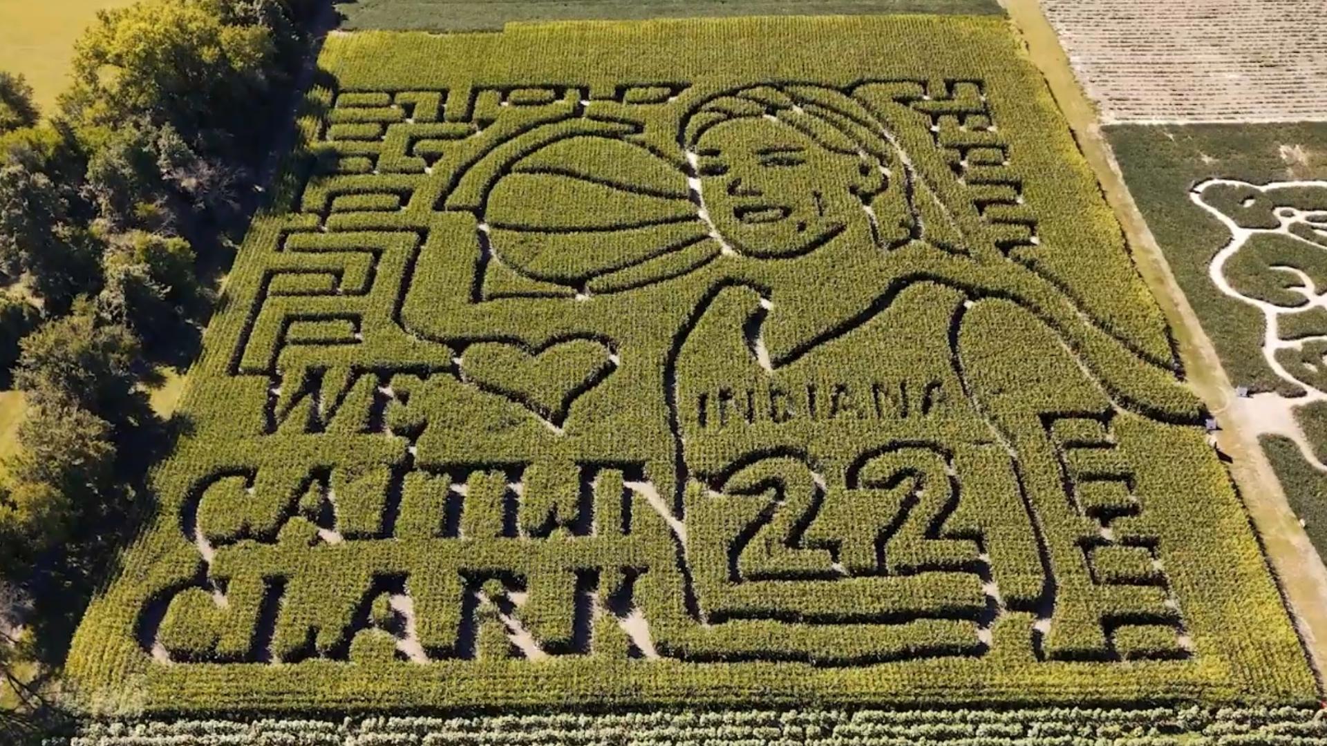 Check out the Caitlin Clark corn maze | wfaa.com
