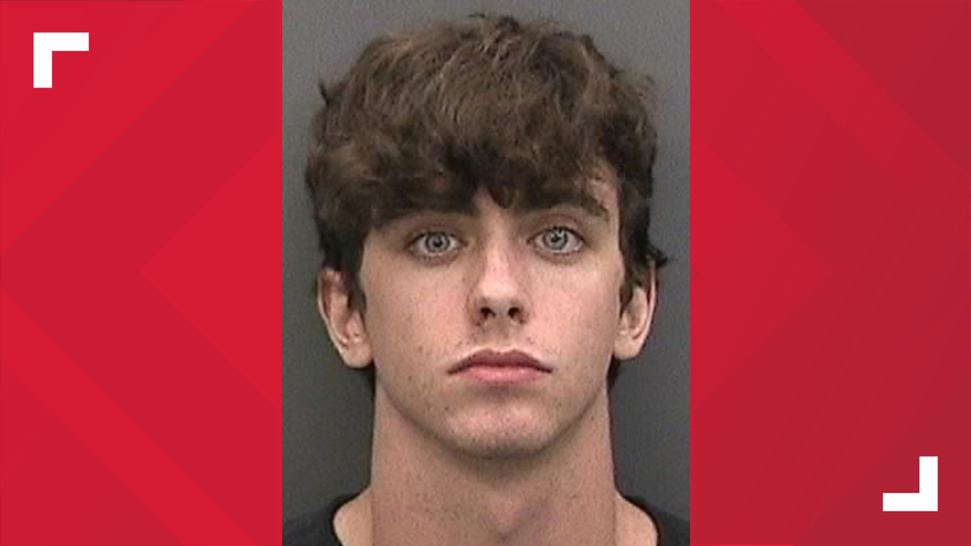 Mustang driver going 102 mph on Bayshore before fatally hitting mom ...